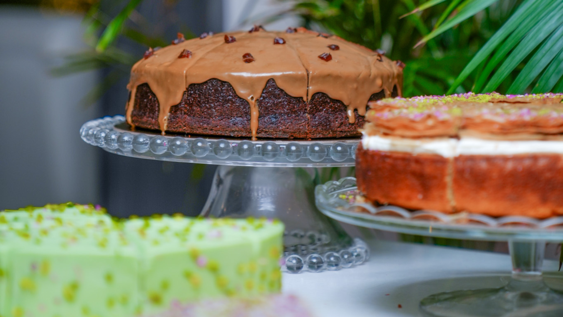 Love Vibe Café DIFC: A Wellness-Focused Restaurant Where Plant-Based ...